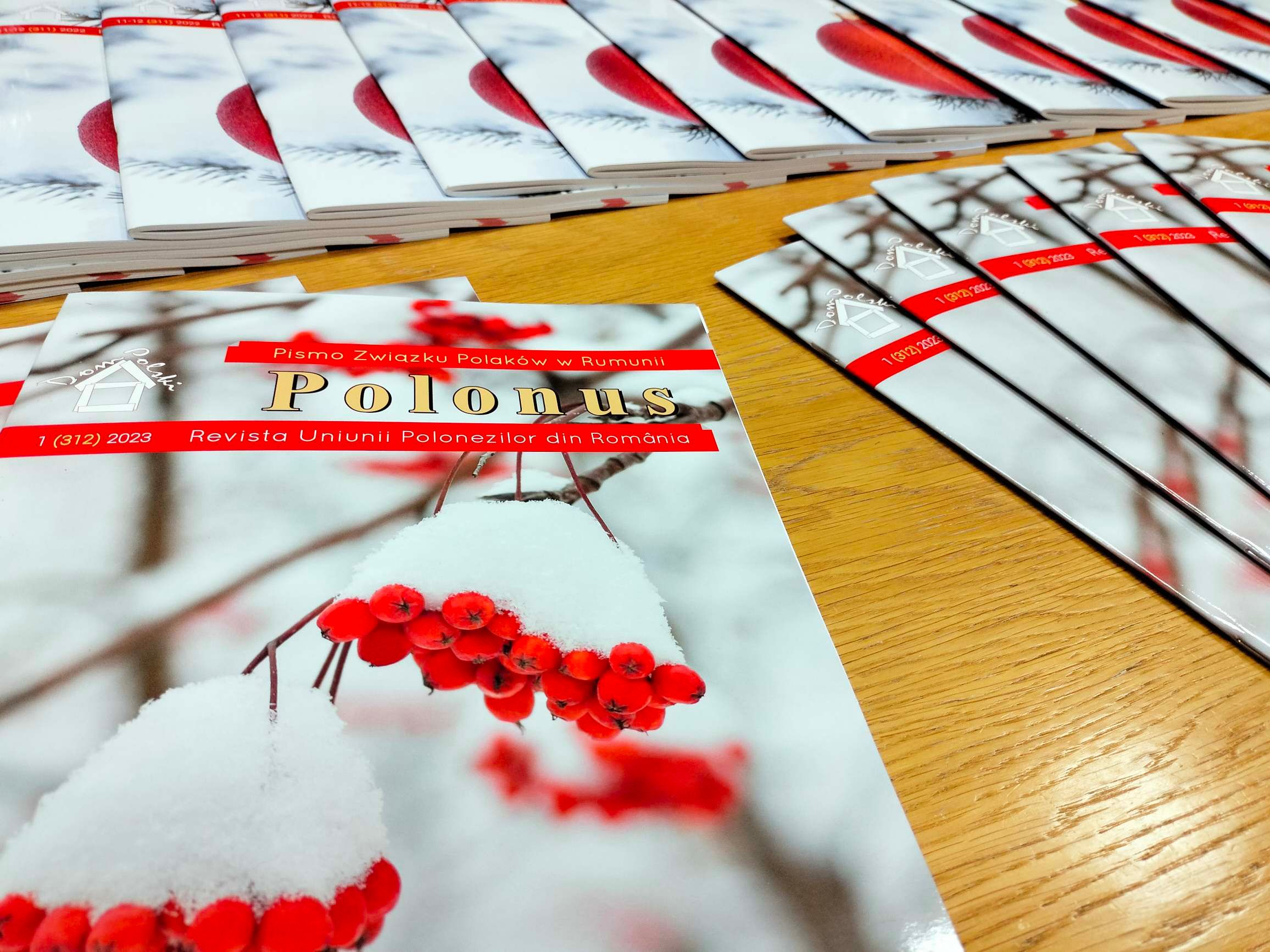 Dariusz Kasprzyk; Lectoratul limba polonă;Radio Iași;cultură