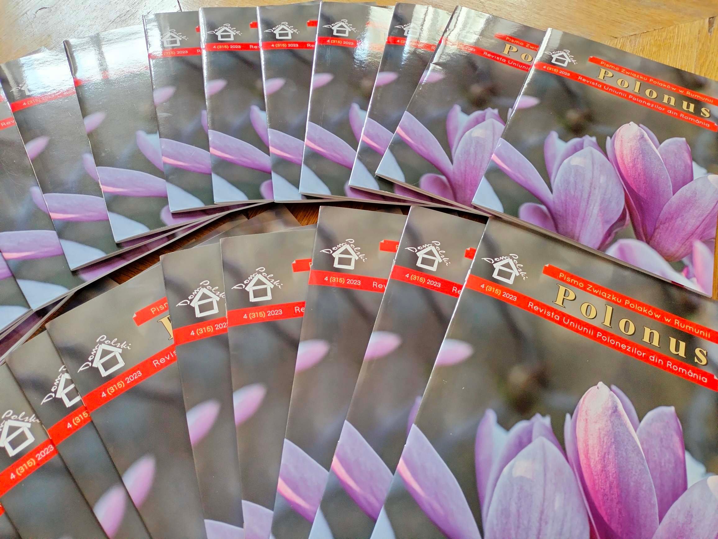 Dariusz Kasprzyk; Lectoratul limba polonă;Radio Iași;cultură